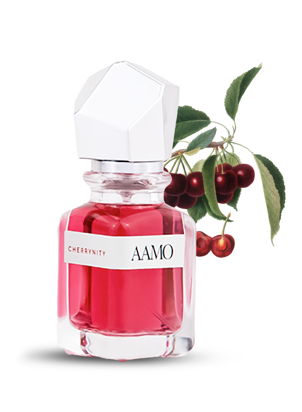 AAMO Parfums Official Website – Unveiling the Art of Scent